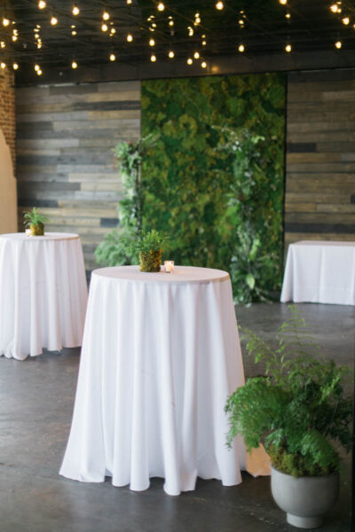 Gallery - Moss Denver