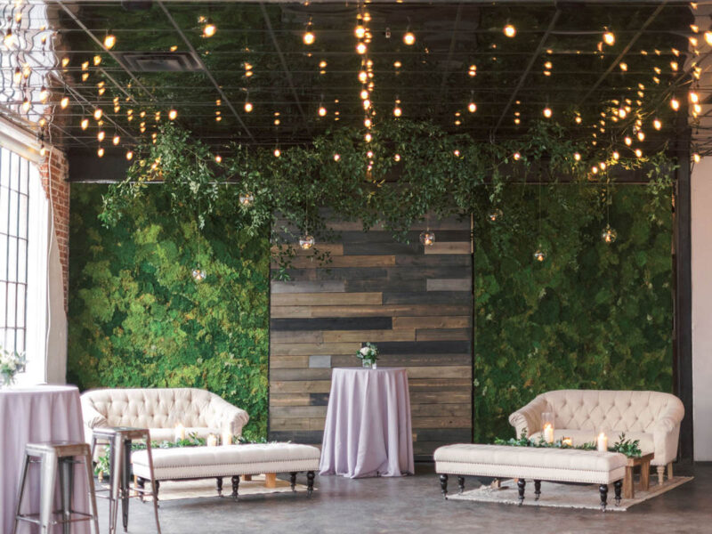 Gallery - Moss Denver